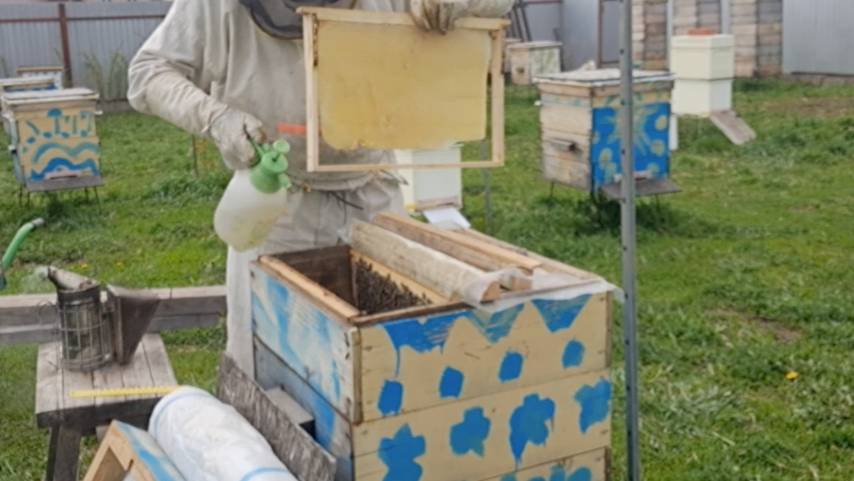 Расширение гнёзд пчелиных семей до 11-12 рамок перед майским медосбором