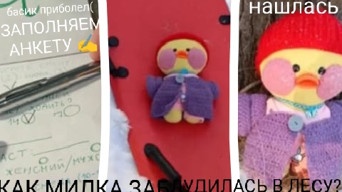 КАК МИЛКА ЗАБЛУДИЛАСЬ В ЛЕСУ?ЗАПОЛНЯЕМ АНКЕТУ ✍️