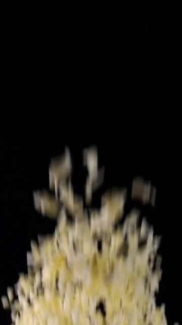 Кот, снег и неожиданный полёт