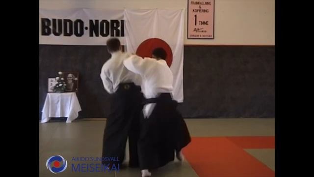 18 Aikido Yokomen Uchi Gokyo, Shishiya Sensei 2003