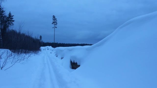 Русская зима