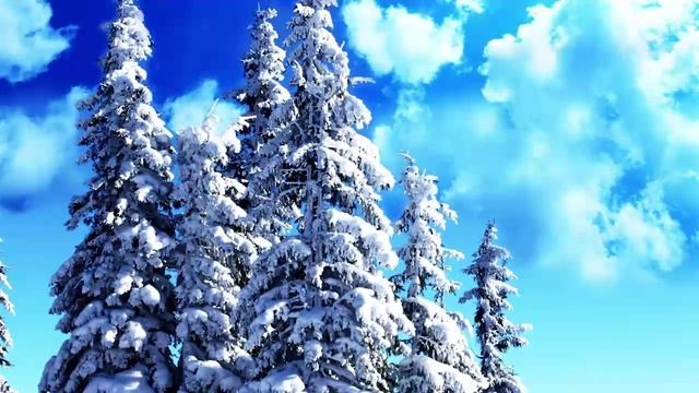 Пэм Гроут - Книга неограниченных возможностей  17