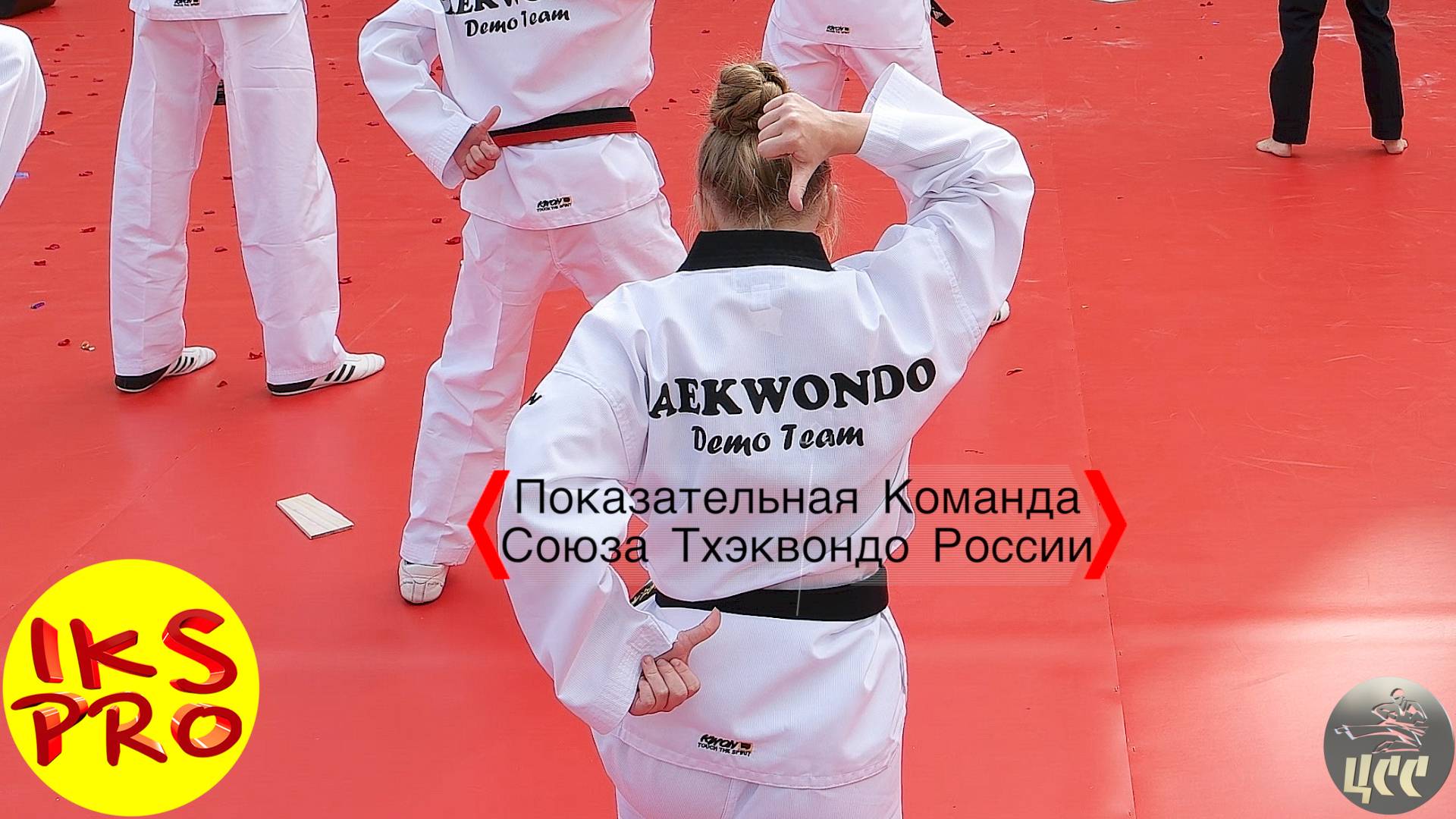 Показательная Команда Союза Тхэквондо России – Москва День Города 2017
