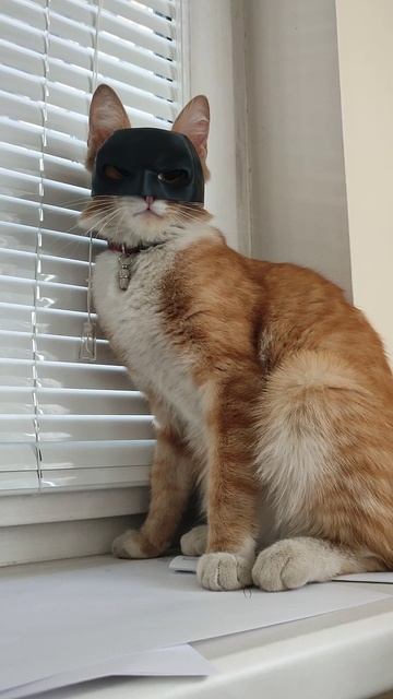 Этому Городу нужен Новый Герой 05.05.2025