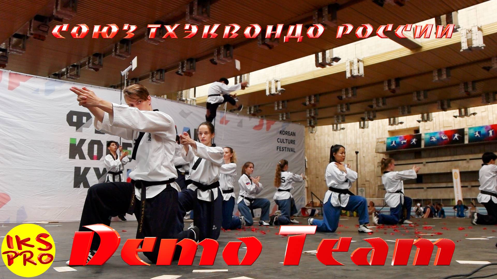 Показательная Команда Союза Тхэквондо России - день Корейской Культуры - Москва 12 Июня 2019