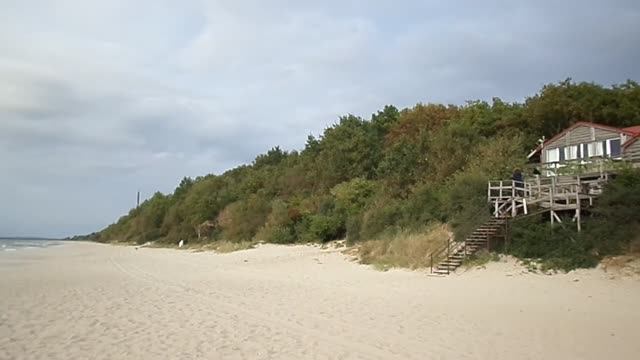 ЗДЕСЬ ЖИВЕТ ЛИСИЦА