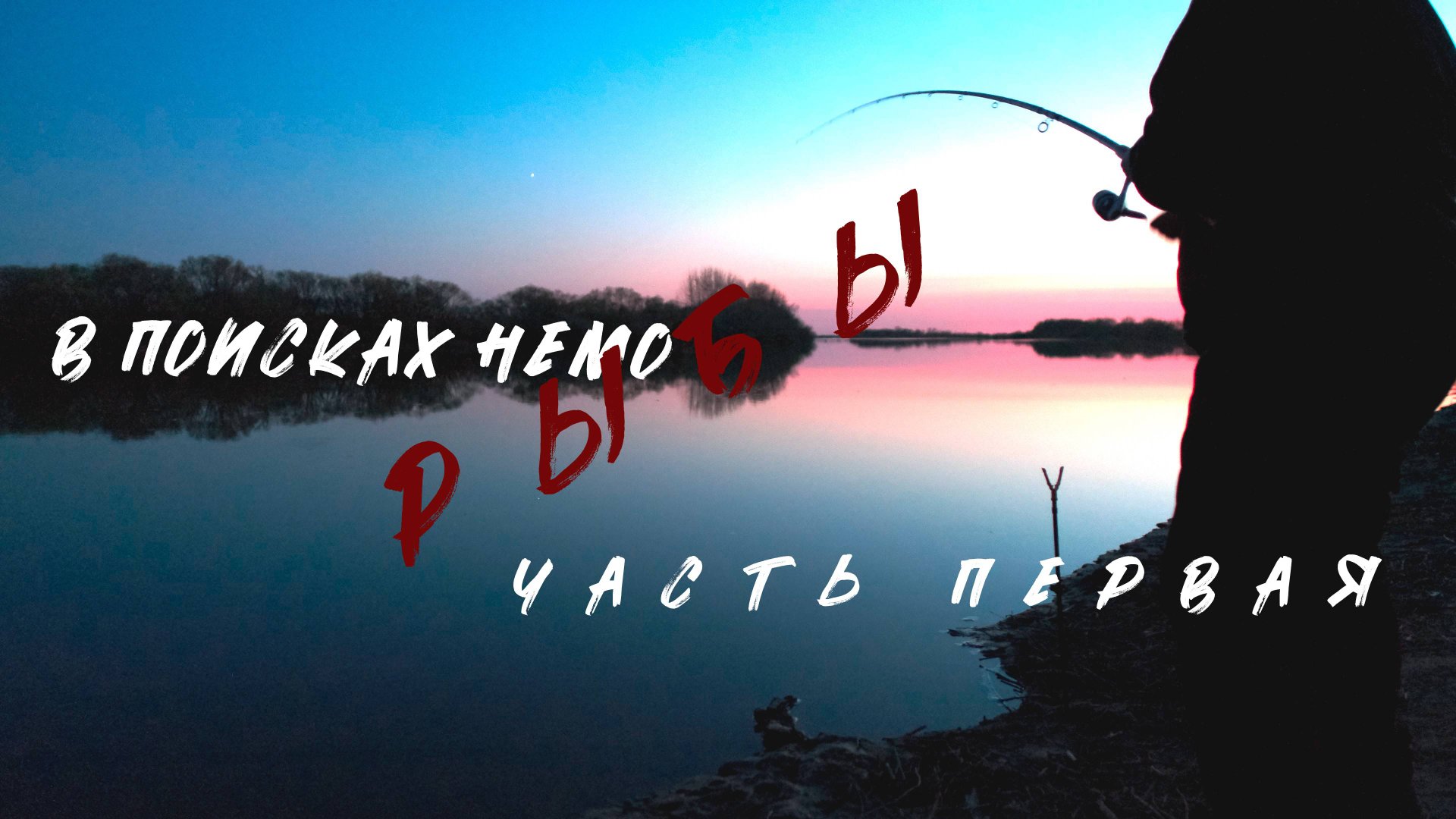 В поисках рыбы #1