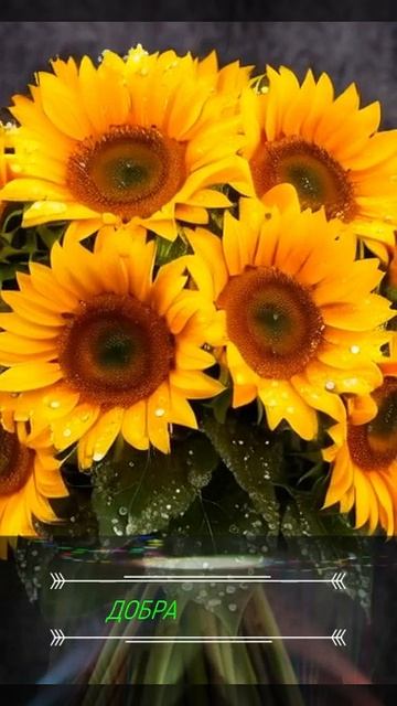 Муз ОТКРЫТКА !!!