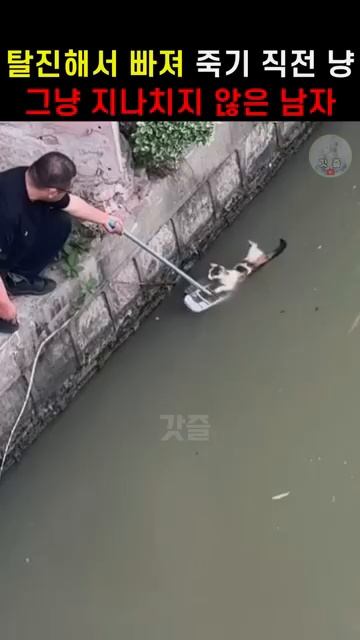 Мир не без добрых людей ! 4