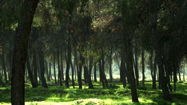 ВОССТАНОВЛЕНИЕ