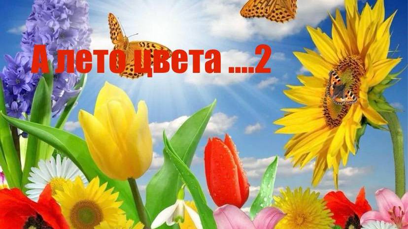А ЛЕТО ЦВЕТА .....2 ИТОГИ