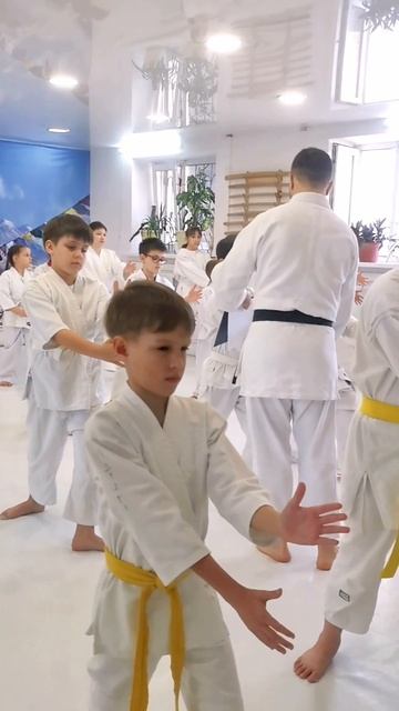 Итоговый аттестационный экзамен по боевым исскуствам, детские группы.
Айкидо Ёшинкан,