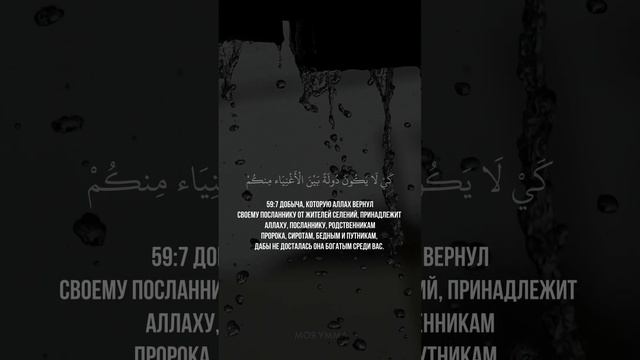 Сура 59я (6-8) Аль-Хашр. Асхат Гиматдинов