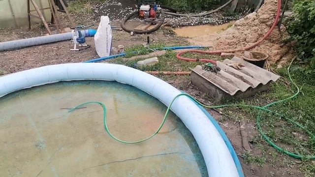 5) Счастье где то рядом! Без бездельников никак, и с ними должно быть не очень!