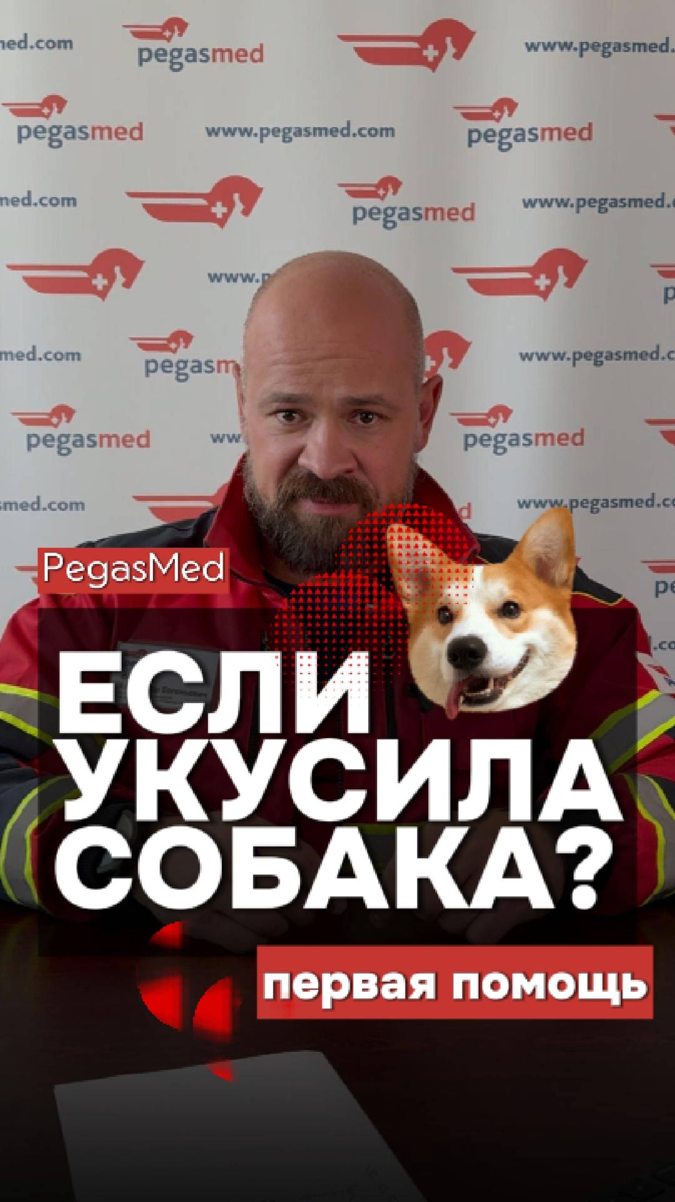 Если укусила собака? 🐾 Первая помощь💙