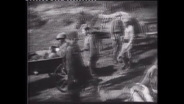 Черепенникова Анастасия Максимовна