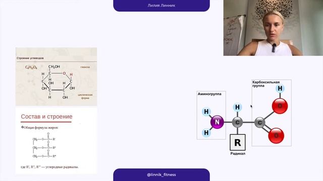 Нутрициология. Белки и аминокислоты.