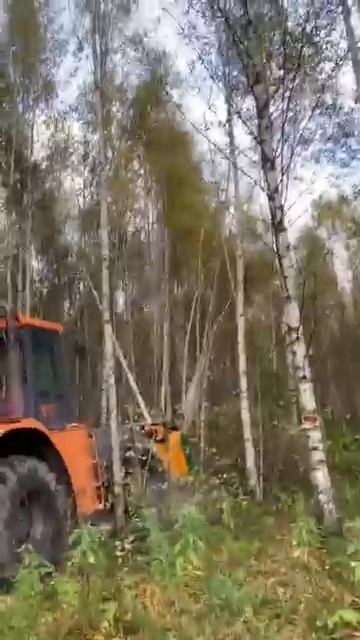 Подготовка объекта под расчистку ротоватором 89261385927 #ротоватор #мульчер #farming #mericrusher