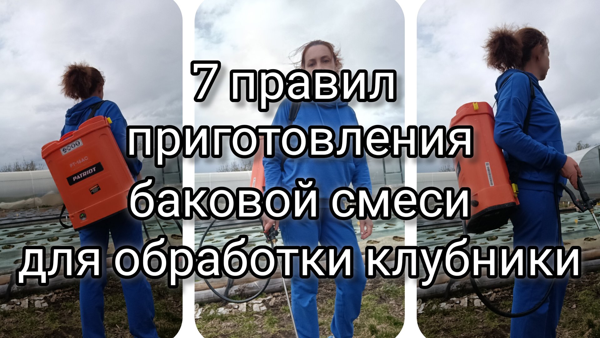 7 правил приготовления баковой смеси для обработки клубники
