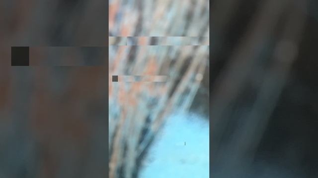 кас, тот самый Ты когда тебе не задали уроков👍