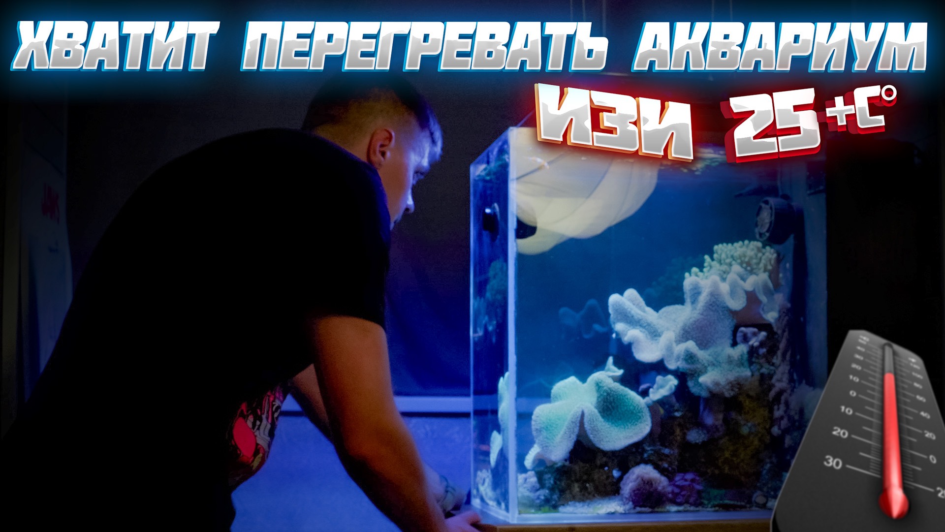 Автоматизация кулера в аквариуме — дешёвый и простой способ