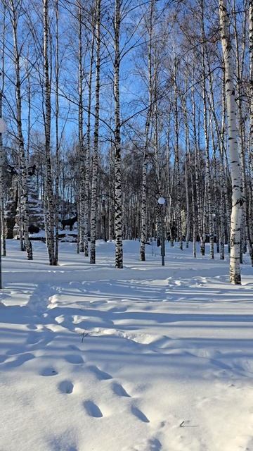 Парк в Ханты-Мансийске