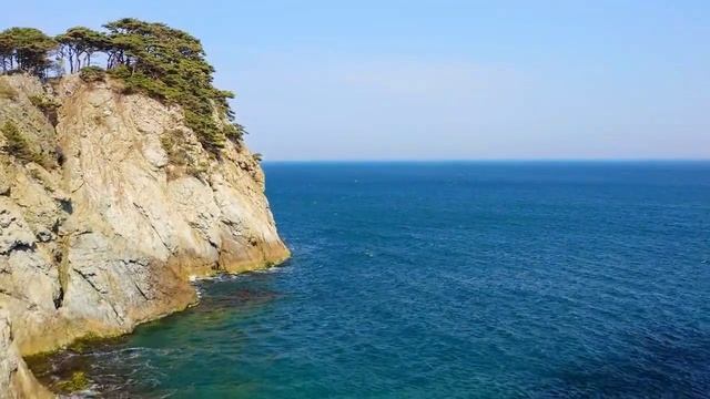 ПОРЧА ЕСТЕСТВА