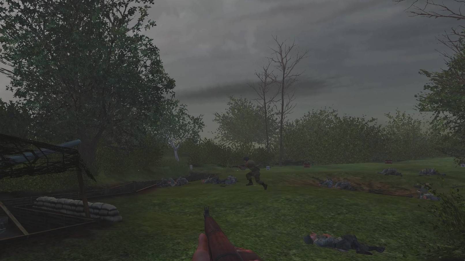 Call of Duty #6: Продолжаем подрывать немецкий авторитет. Ветеран