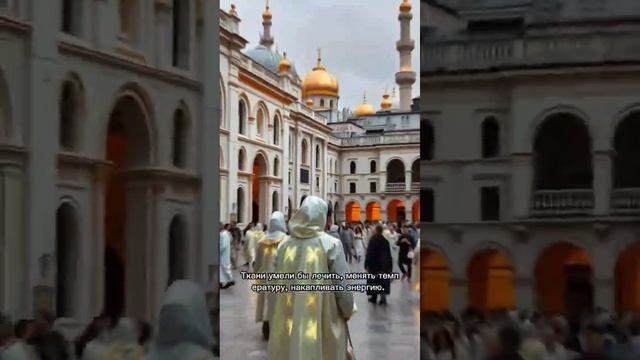 Как мы могли бы мы жить... !!! #умныйинтеллект #жить #важно #круто #интересно #будущее #жизнь