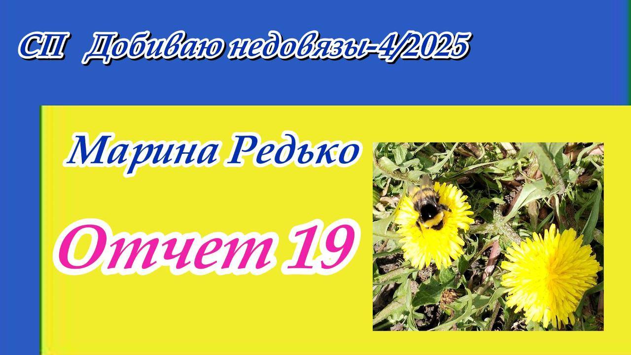 СП "Добиваю недовязы 4/2025" Отчет 19