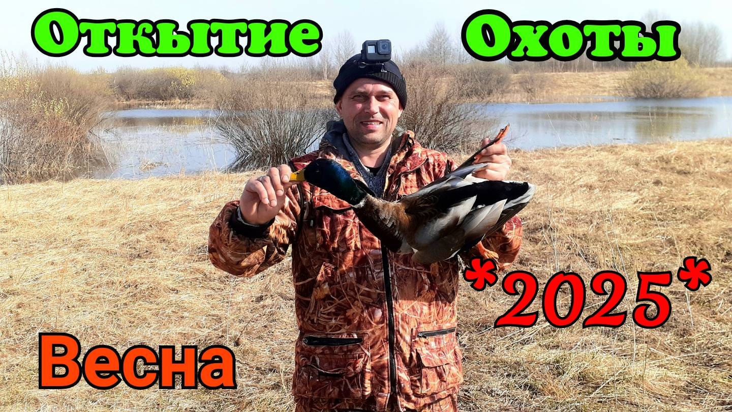 Открытие весенней охоты *2025*  | Охота с чучелами и манком