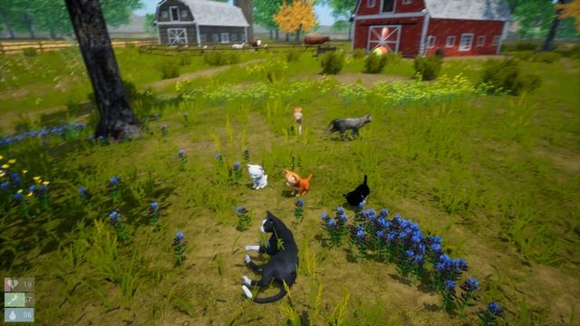 Сыграл в Cat Simulator