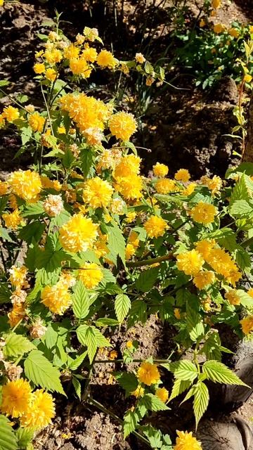 Мой особый и эмоциональный день..