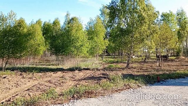 Владимировка_нарезка участков от 5 до 9 соток