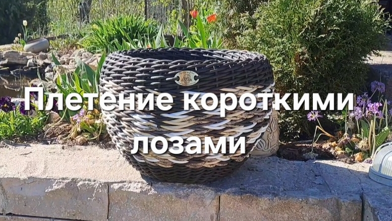 Плетение короткими лозами