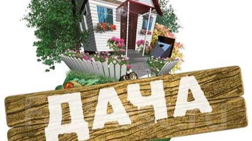 Отдых на даче у друзей. Мир-труд-май.