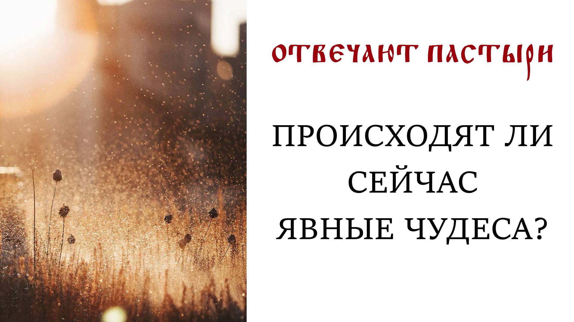 Отвечают пастыри: Происходят ли сейчас явные чудеса?