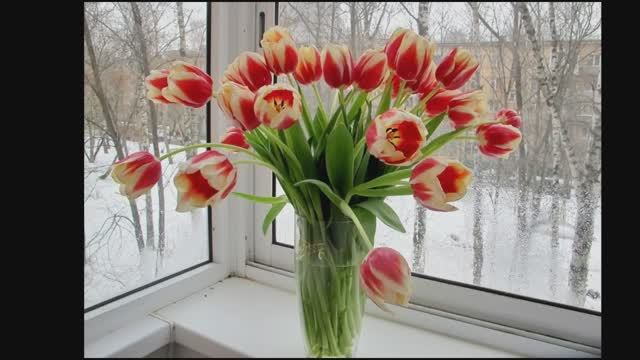 Ода о тюльпане. Юрий Касаткин