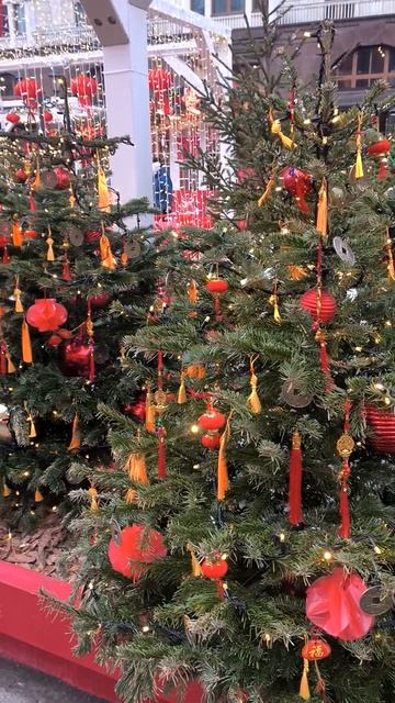 Китайский новый год в Москве