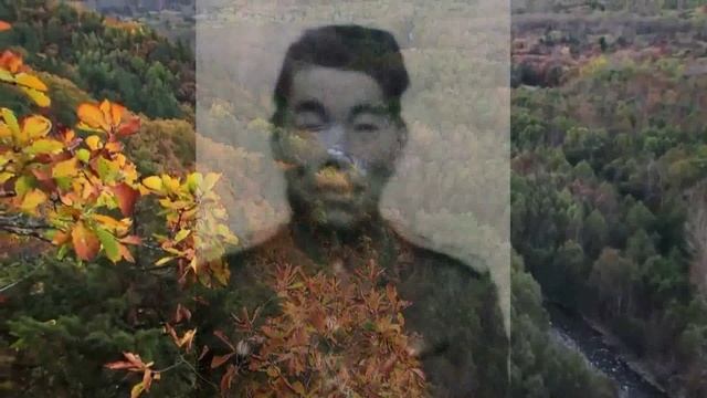 11. Никогда не была на войне