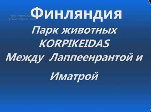 Finland,Animal Park Korpikeidas-Финляндия парк животных Korpikeidas
