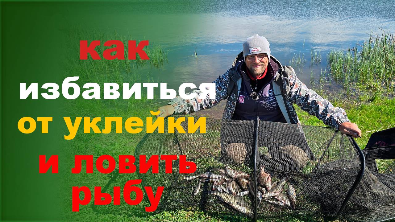 как избавиться от уклейки и ловить нормальную рыбу