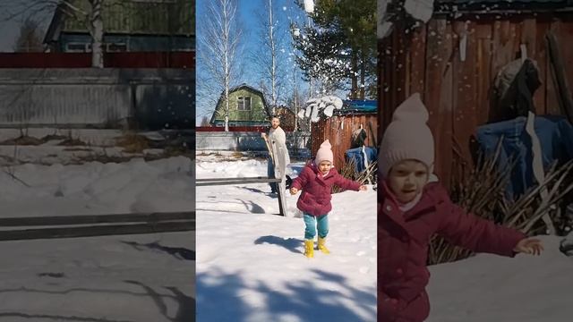 Сажаем капусту, май 2025