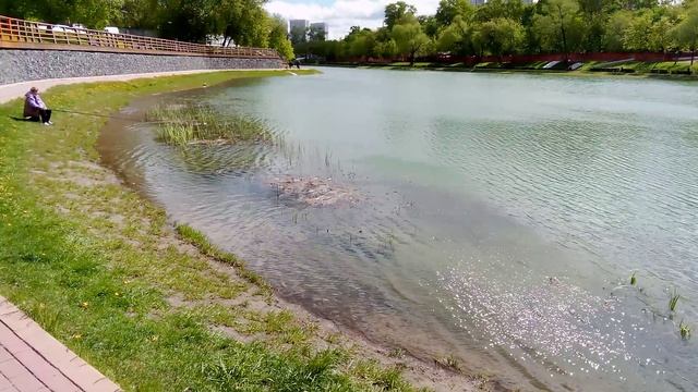 Калитниковский пруд на малом калитниковском проезде. Цикл Старинные пруды России.