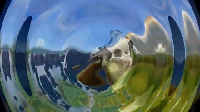 Звук коровы, мычание коровы