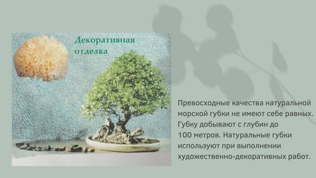 Инструмент для декоративной отделки