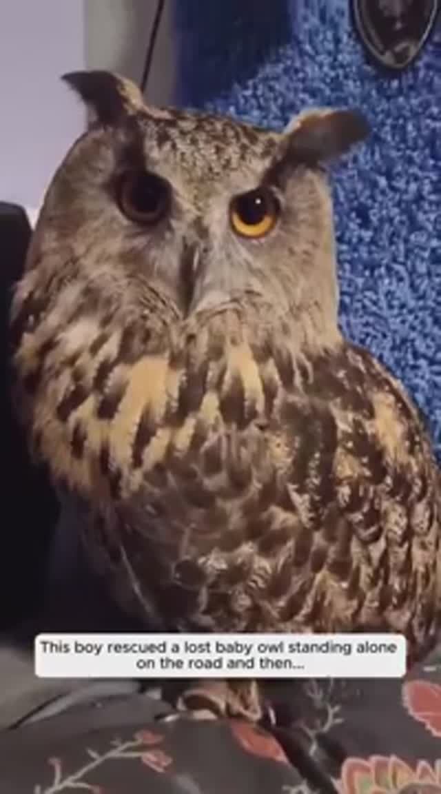 Мир не без добрых людей ! 2