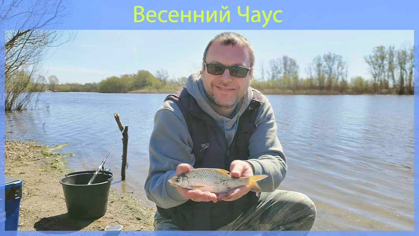 Весенний чаус 2025г.