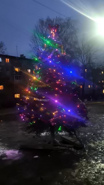 Новогодняя ёлка на районе