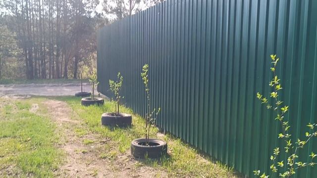 Про железный забор